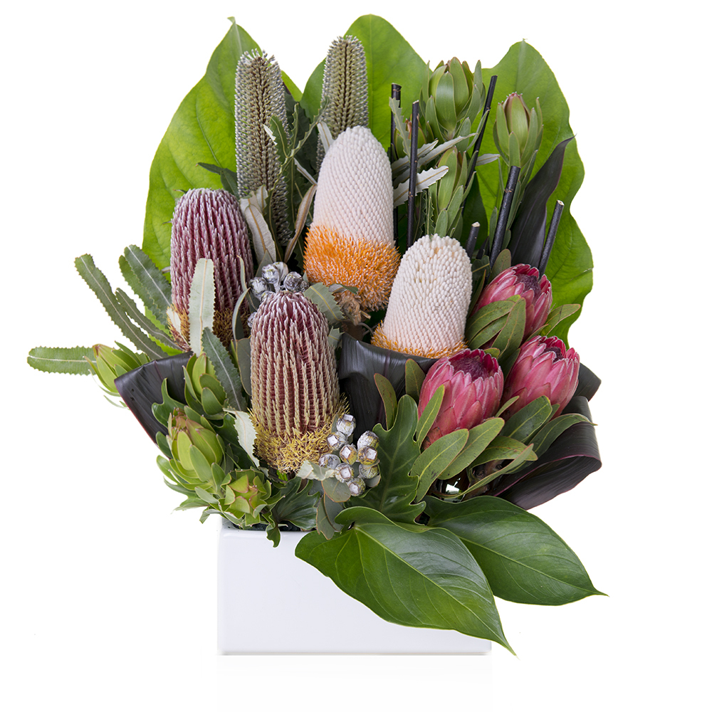 View Products by Price - above $200