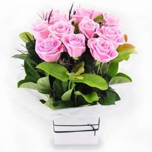 Candy Floss | Beautiful Roses Today