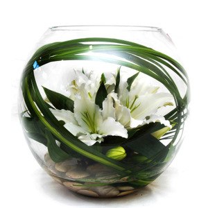 Pure Delight | Beautiful Flowers Delivered Today